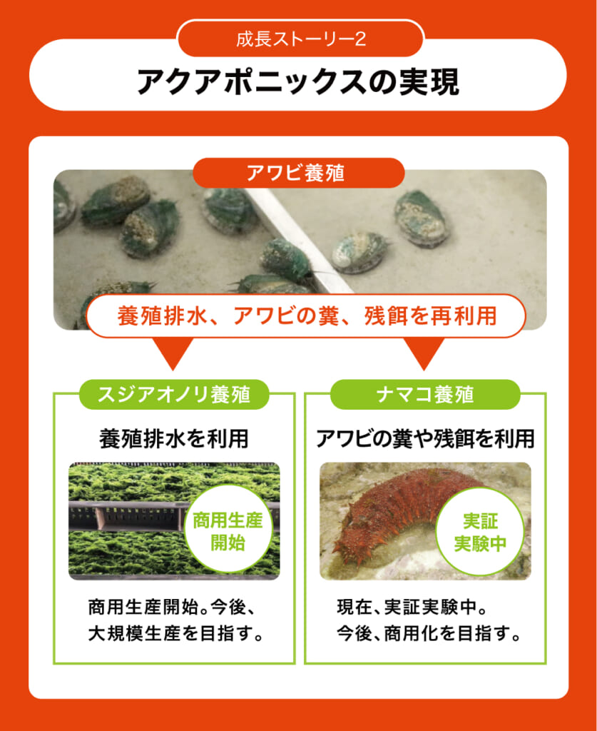 スマート養殖技術で日本産アワビの復活を目指すA’Culture、FUNDINNOで2度目のCFへ | 株式投資ニュース | 未来がもっと楽しみになる金融・投資メディア「HEDGE GUIDE」
