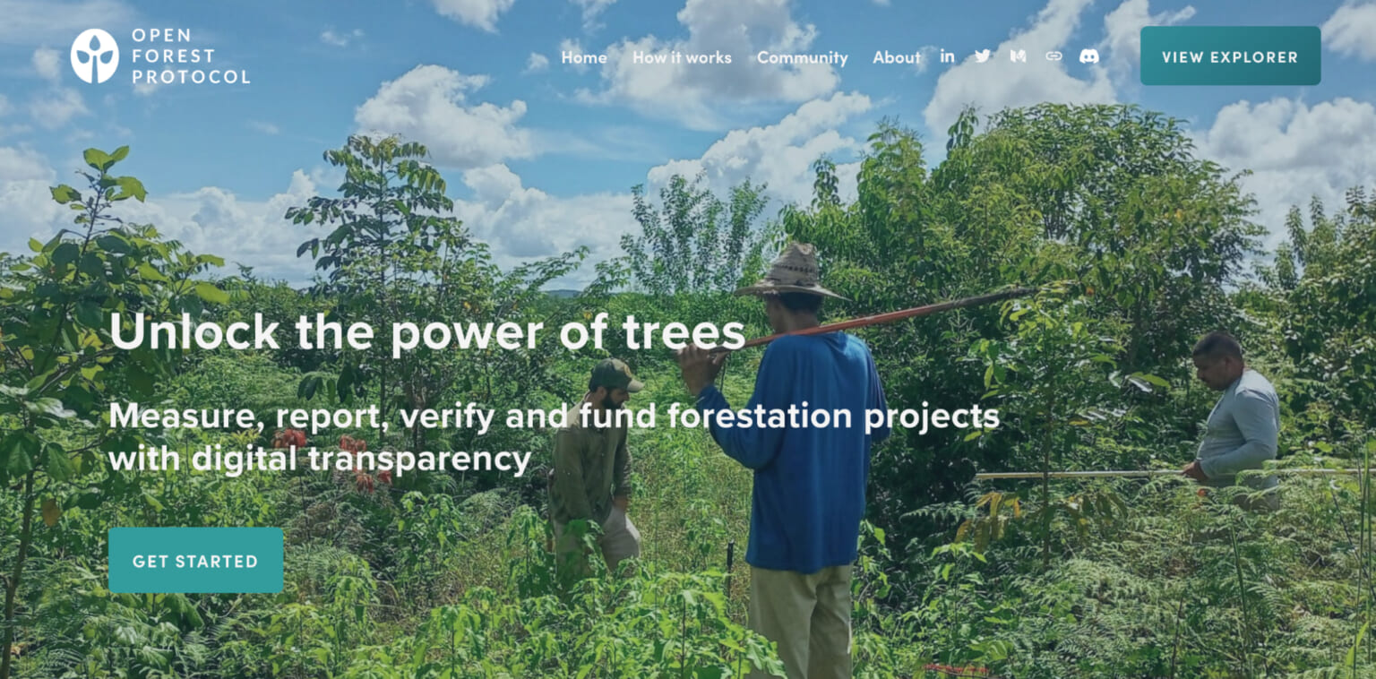 世界中の森林プロジェクトが参加できる分散型のMRVを実現する「Open Forest Protocol」とは？ | サステナビリティ×ブロックチェーン情報メディア【HEDGE GUIDE Web3】
