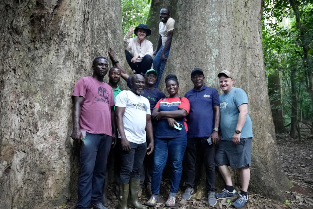 【3T インタビュー】専門家が考えるカーボンクレジットの今とこれから | サステナビリティ×ブロックチェーン情報メディア【HEDGE GUIDE Web3】